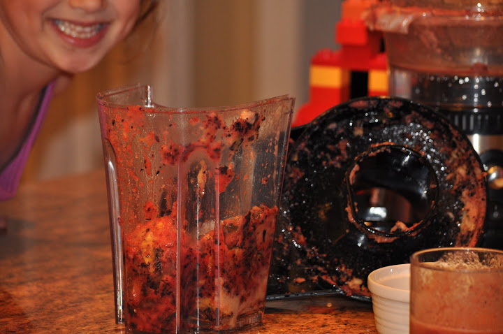 Fusion Juicer Review - Classy Mommy