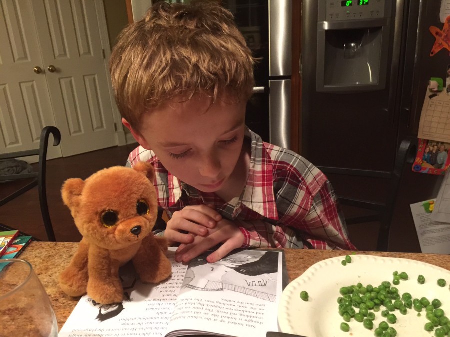 Introducing Scholastic Branches Fun and Easy To Read Chapter Books # ...