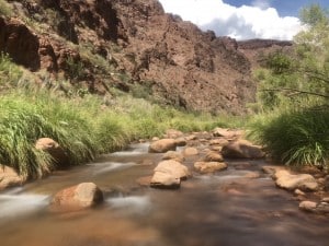 Phantom Ranch Cabin Tour Video and Photos @GrandCanyonNPS ...