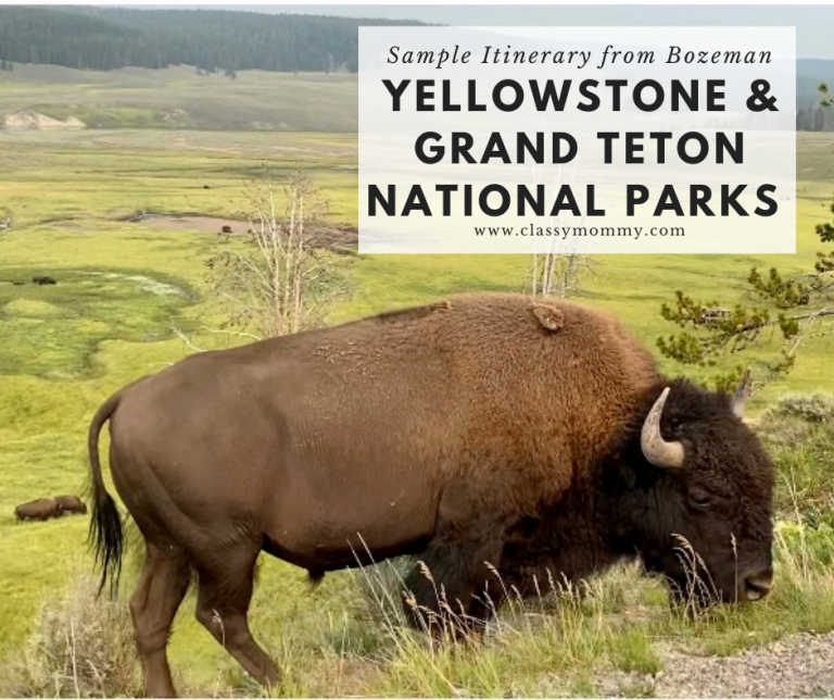 Sample Yellowstone and Grand Teton Itinerary from Bozeman Montana ...