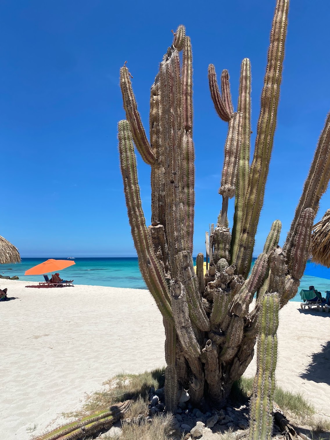 Aruba Ritz Carlton Oceanfront Room Tour Video Highlights