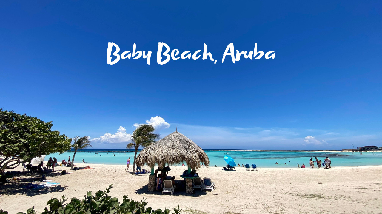 Aruba Ritz Carlton Oceanfront Room Tour Video Highlights